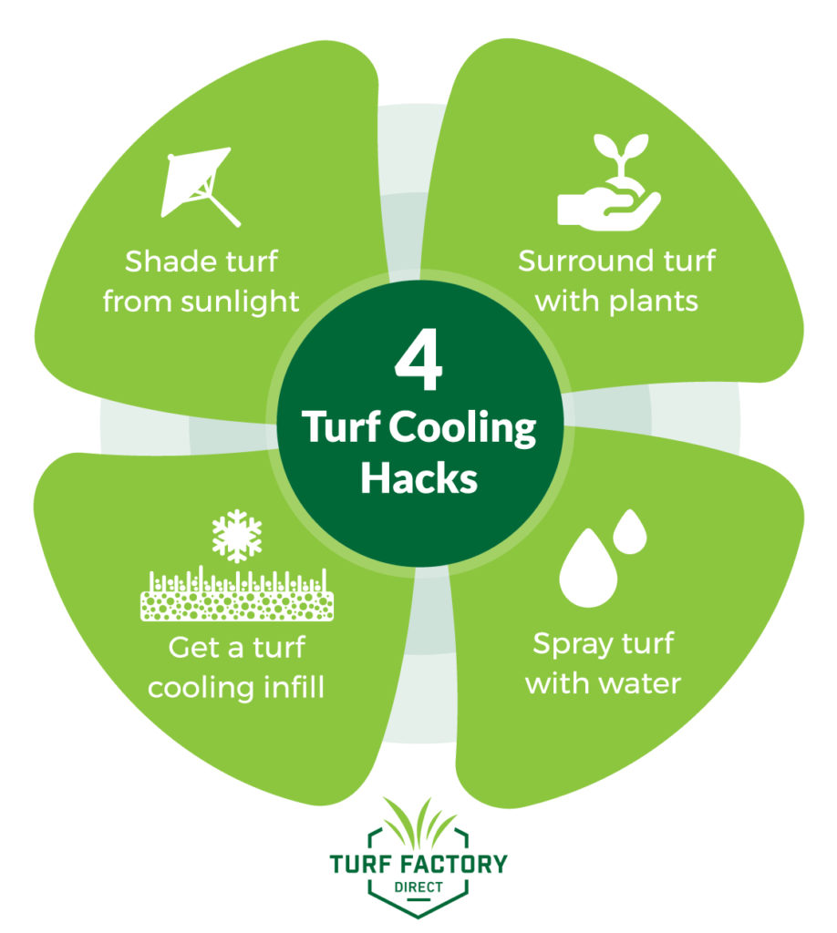 How to Keep Turf Cool | Turf Factory