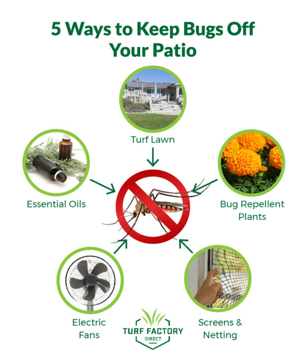 How to Keep Bugs Off Your Patio | Turf Factory