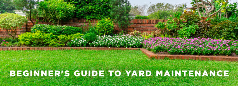 Beginner’s Guide to Yard Maintenance | Turf Factory