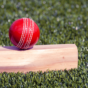 Cricket Turf | Product categories | Turf Factory