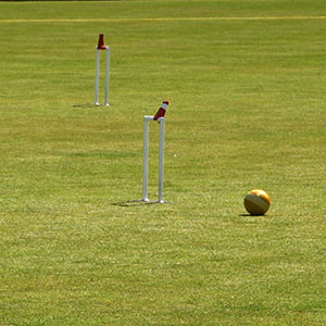 Croquet Turf | Product categories | Turf Factory