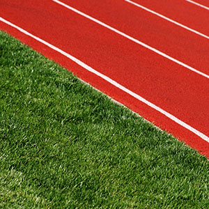 Track Turf | Product categories | Turf Factory