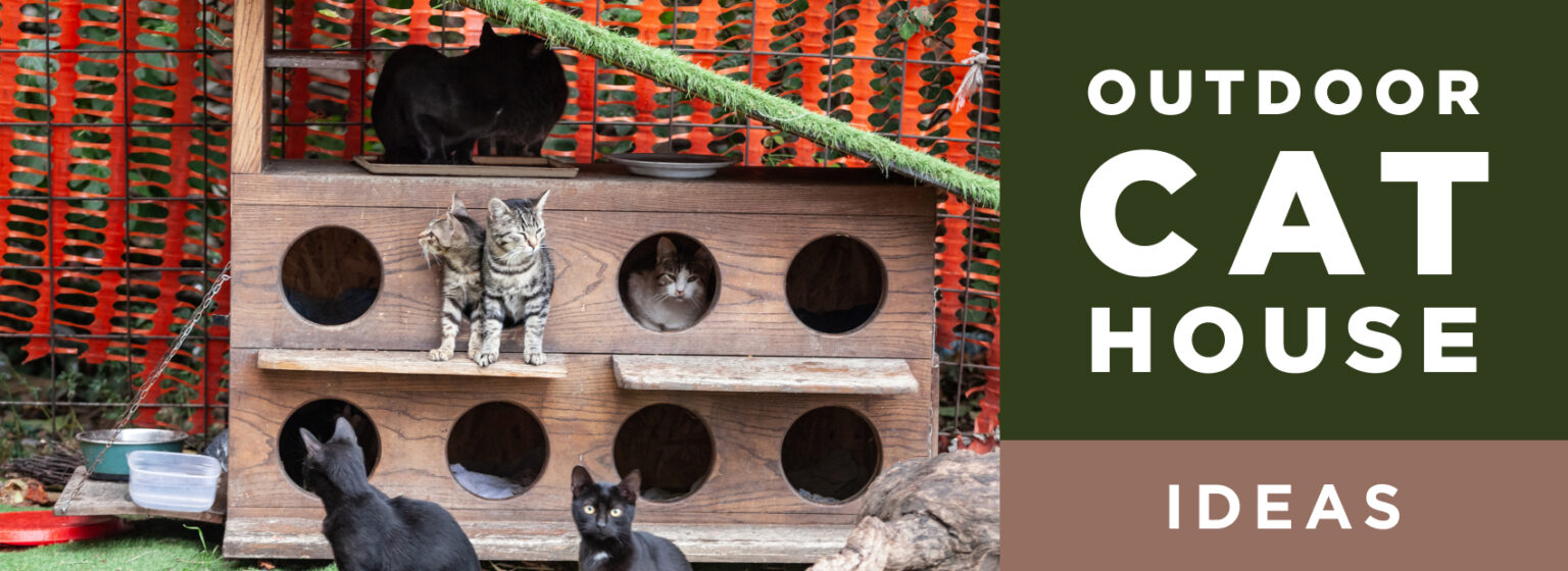 Outdoor Cat House Ideas: Creating Safe and Cozy Shelters | Turf Factory