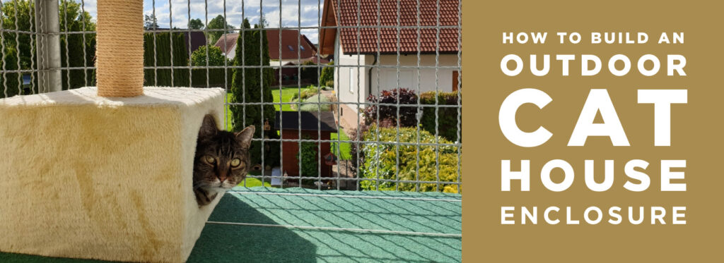5 Steps To Build An Outdoor Cat Enclosure Turf Factory