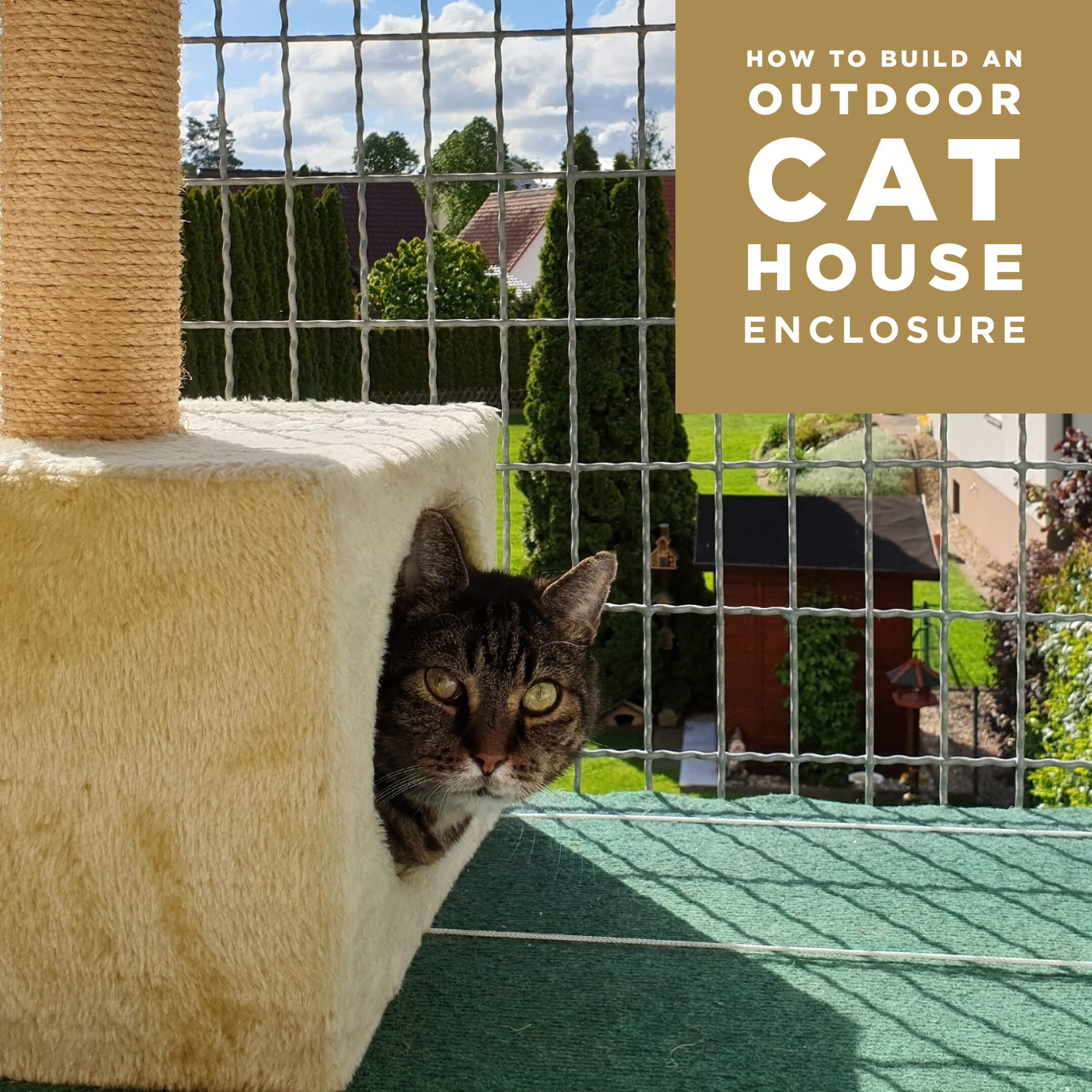 5 Steps to Build An Outdoor Cat Enclosure | Turf Factory