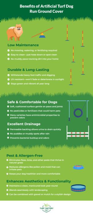 Dog Run Ideas Side of House: Maximizing Space for Canine Exercise ...