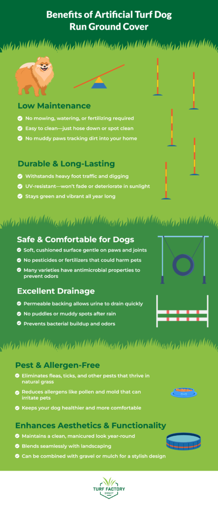 Dog Run Ideas Side of House: Maximizing Space for Canine Exercise ...