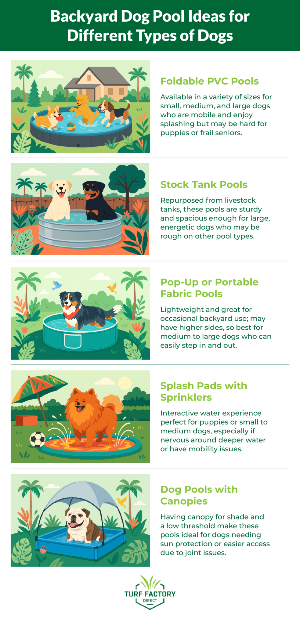 Backyard Dog Pool Ideas | Turf Factory