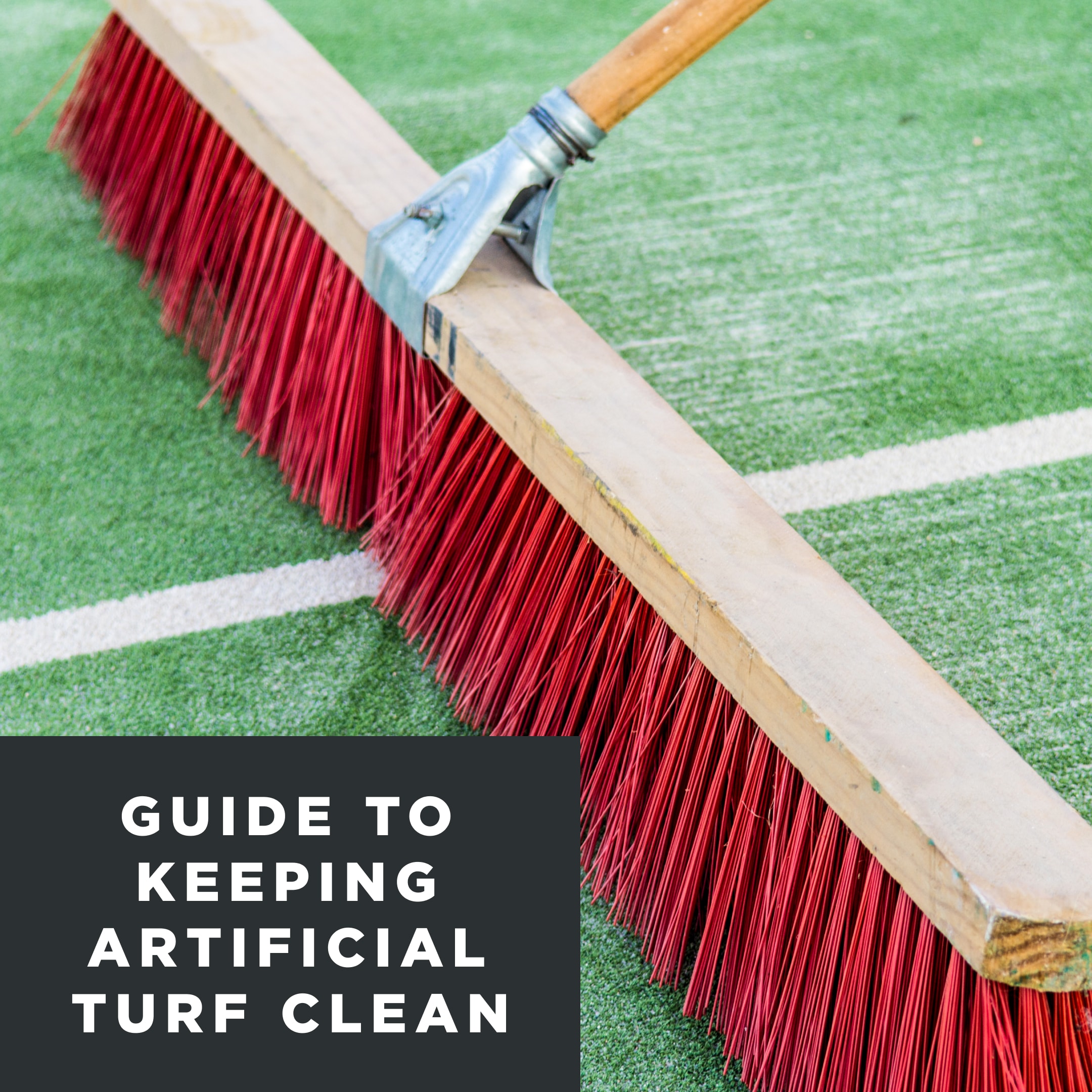 Guide to Keeping Artificial Turf Clean | Turf Factory
