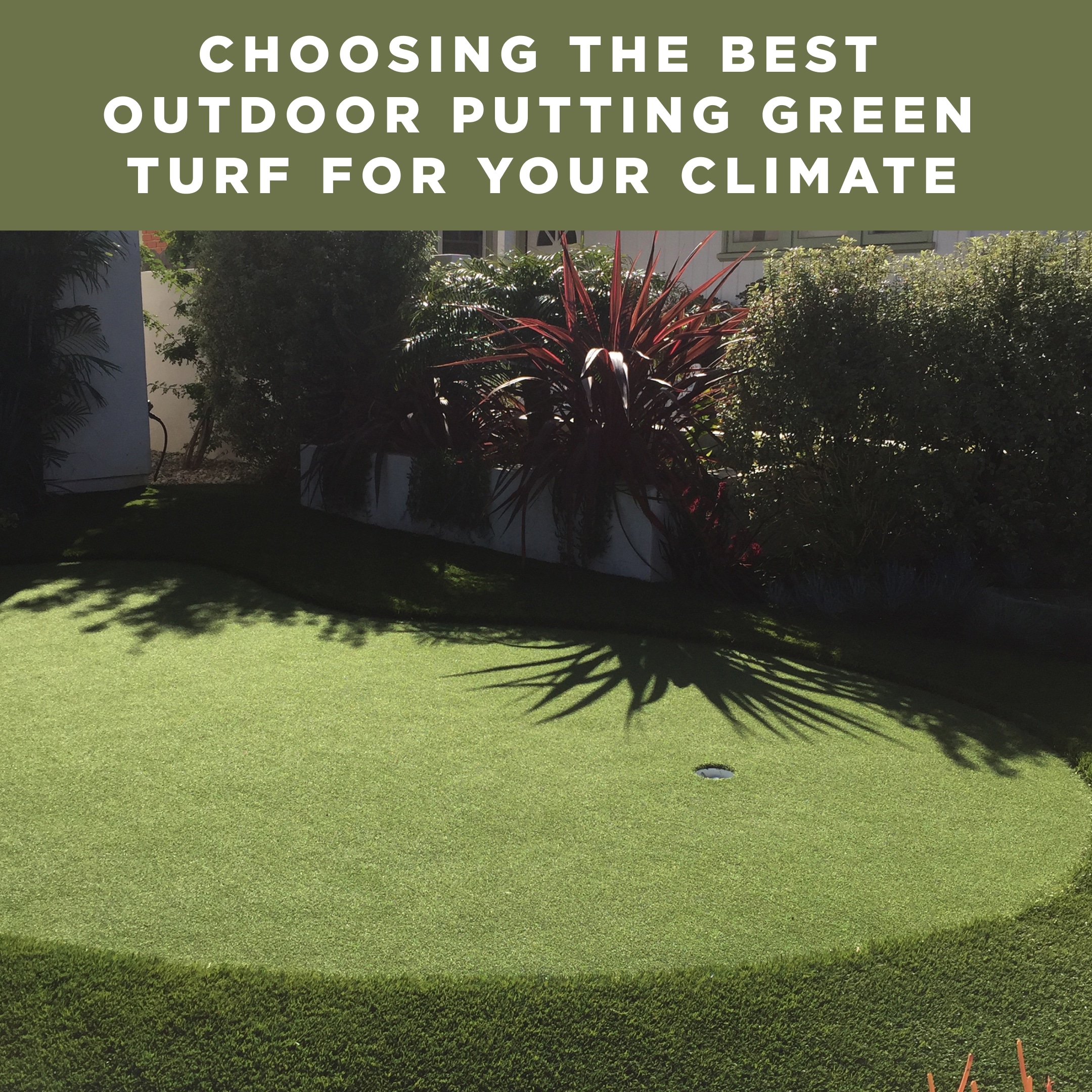 Choosing the Best Outdoor Putting Green Turf for Your Climate | Turf ...